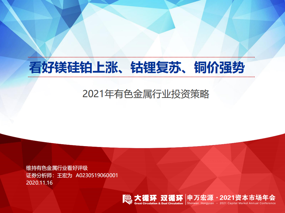 2021年有色金属行业投资策略：看好镁硅铂上涨，钴锂复苏，铜价强势-20201116.pdf | 先导研报