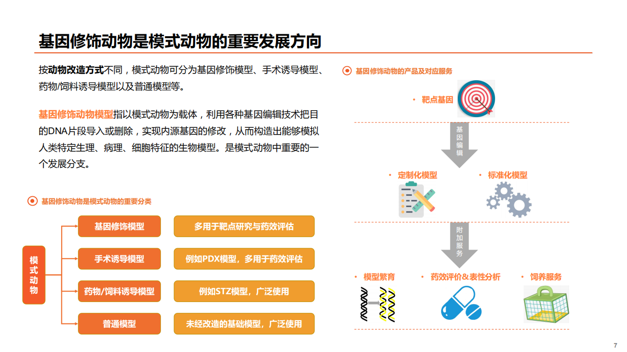 生物医药行业深度报告：模式动物，创新带动需求扩张，出海提供额外增量-220424.pdf | 先导研报