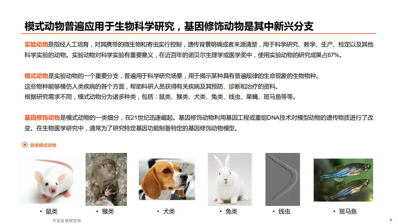 生物医药行业深度报告：模式动物，创新带动需求扩张，出海提供额外增量-220424.pdf | 先导研报