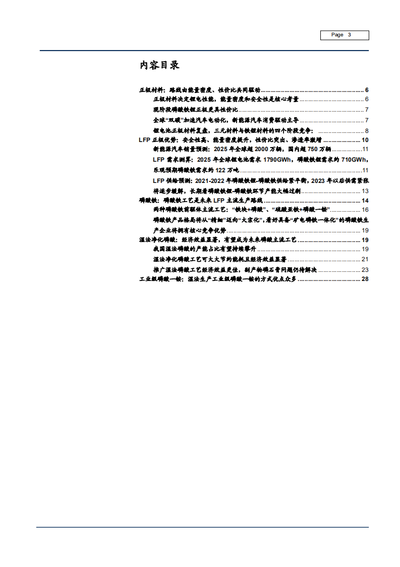 2021年LFP正极材料市场需求预测及湿法磷酸-磷酸铁产业景气度研究报告.pdf | 先导研报