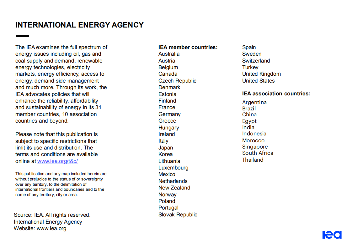 国际能源署（IEA）：2022年世界能源投资报告（英文版）.pdf | 先导研报