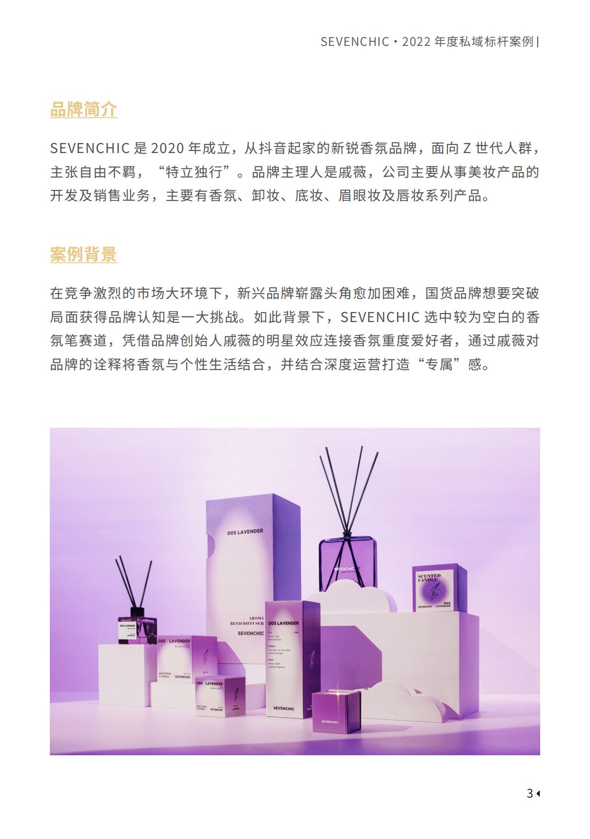 见实：SEVENCHIC·见实2022年度私域标杆案例操作手册 | 先导研报