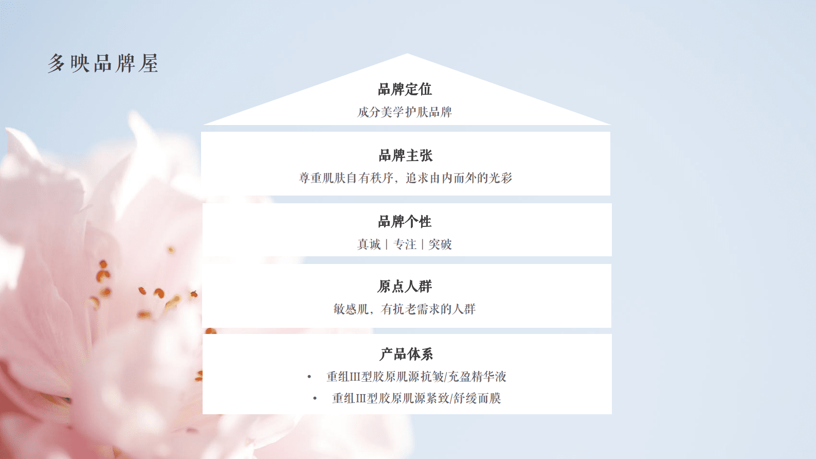 DUOYING：2023多映品牌策略及首波新品上市传播规划方案 | 先导研报
